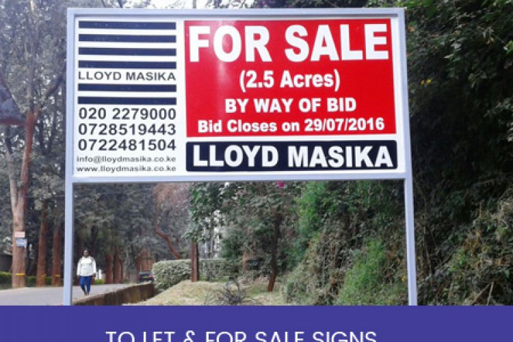 John Lloyd and David Masika the Brand Names Behind Lloyd Masika ...